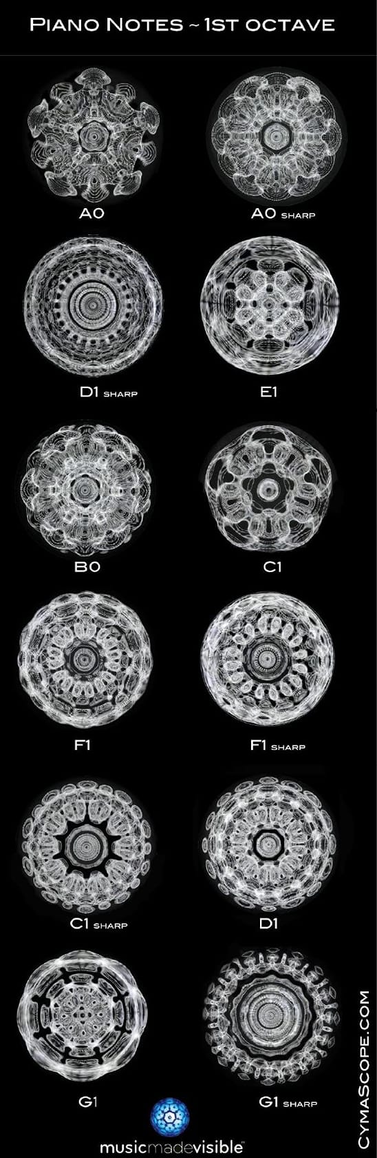 Photography of music notes in a bowl of water. – SSI BAND HUB