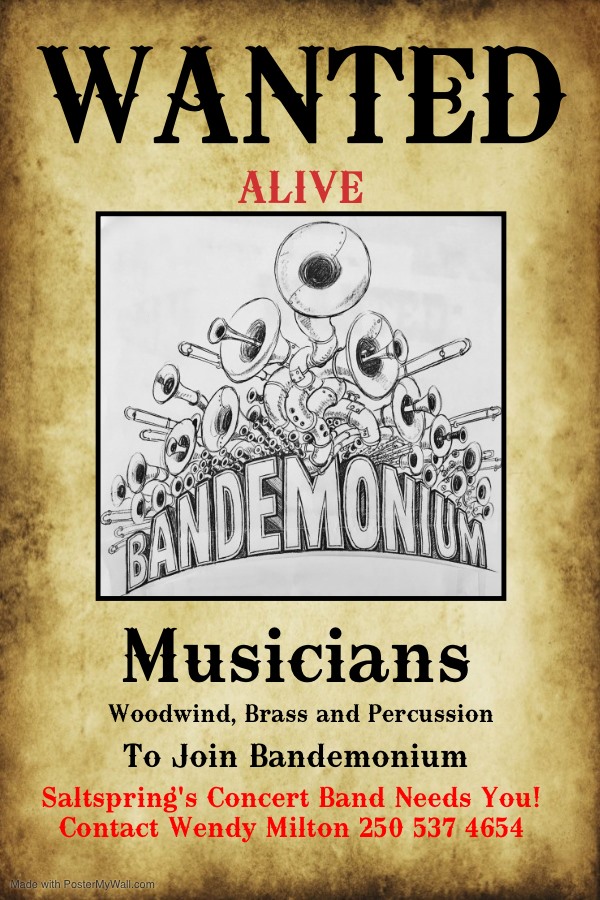 Bandemonium Concert Band – SSI BAND HUB