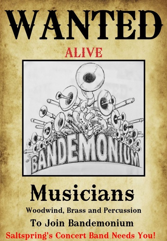 Bandemonium Concert Band – SSI BAND HUB